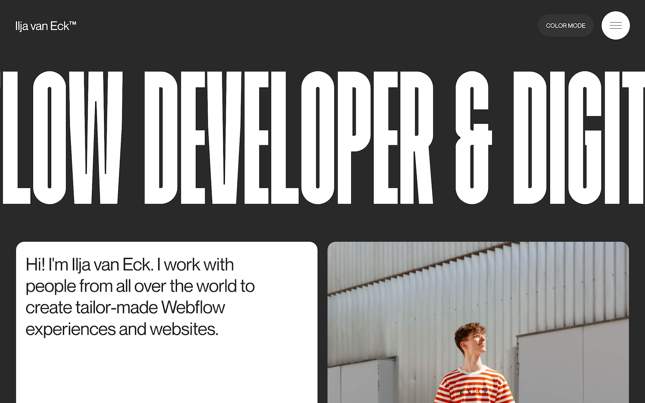 Ilja van Eck – Freelance designer and Webflow developer | Brilliant Design Collect